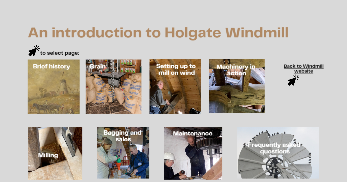 An introduction to Holgate Windmill